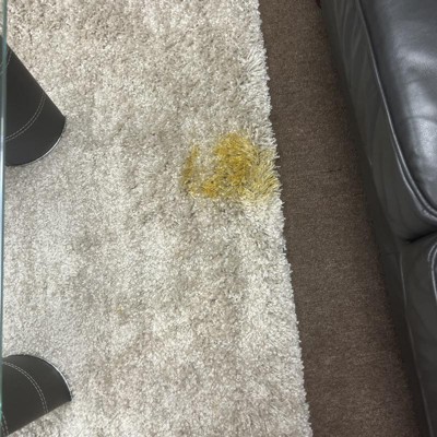 Eyelash Woven Shag Rug - Project 62™ : Target