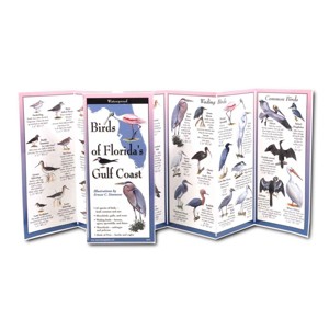 Earth Sky + Water FoldingGuide - Birds of Floridas Gulf Coast - 10 ...