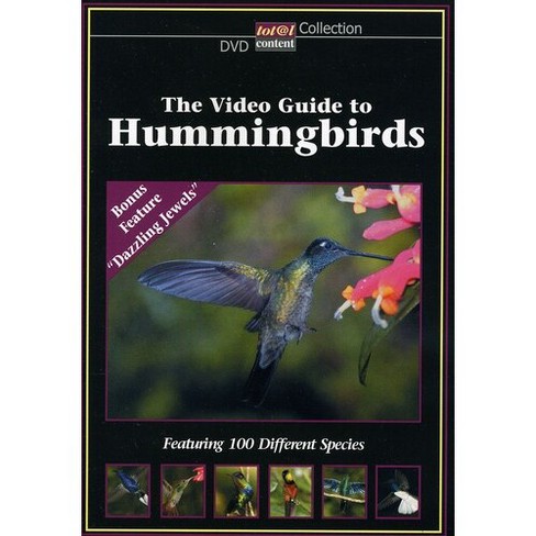 Video Guide To Hummingbirds (dvd) : Target