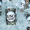 Busch Light - 30pk/12 Fl Oz Cans : Target