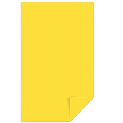 14 Inch Paper : Target