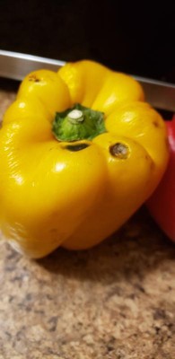Green Bell Peppers - 2ct - Good & Gather™ : Target