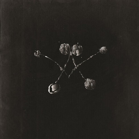 Waterstrider - Nowhere Now (vinyl) : Target