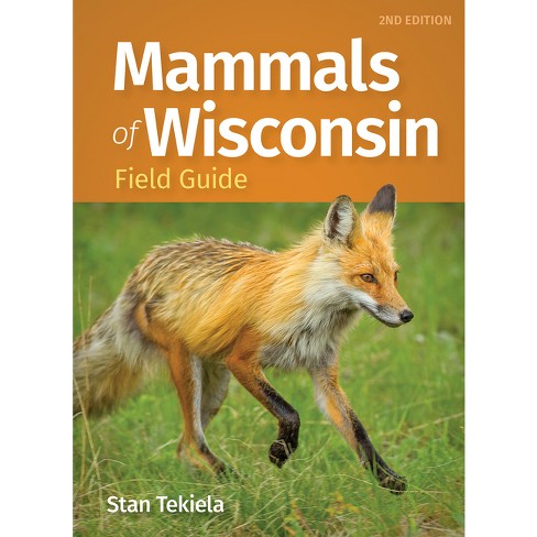 Mammals Of Wisconsin Field Guide - (mammal Identification Guides) 2nd ...