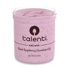 Talenti Black Raspberry Chocolate Chip Gelato - 16oz : Target