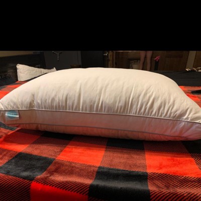 Standard 2pk Feather & Down Bed Pillow White - Martha Stewart : Target