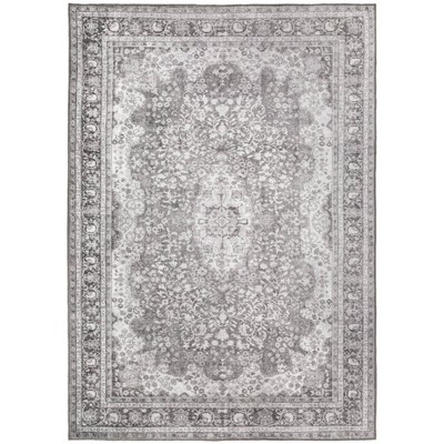 Scarlett Traditional Classic Area Rug Gray - Captiv8e Designs : Target