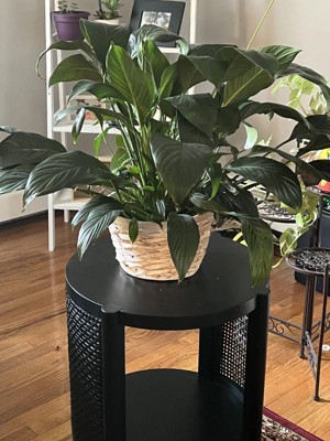 Portola Hills Woven Accent Table - Threshold™ Designed With Studio ...