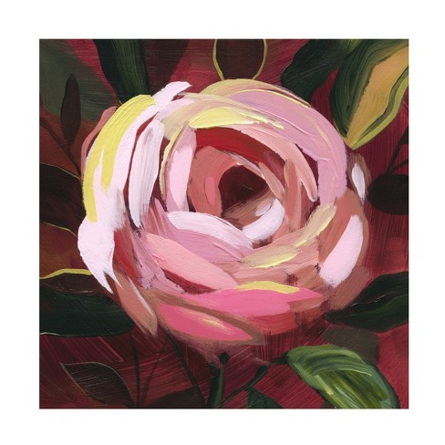 Trademark Fine Art - Grace Popp Brushy Rose Ii Canvas Art - 35 X 35 ...