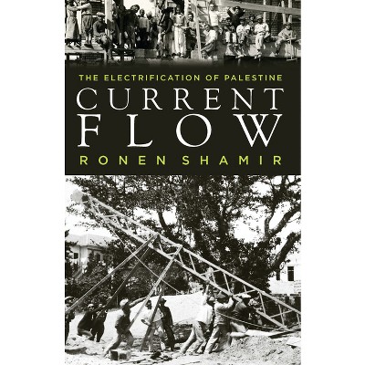 Learning Kernel Classifiers - (adaptive Computation And Machine Learning) By Ralf Herbrich ...