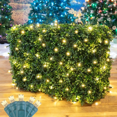 Novelty Lights 100 Light Warm White Led Christmas Net Lights Christmas Decorations Green Wire 4 X 6 Target