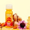 Vive Organic Immunity Boost Original Ginger & Turmeric Wellness Shot ...