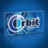 Orbit Peppermint Sugarfree Gum - 42ct : Target