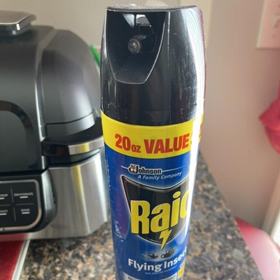 Raid Flying Insect Killer Outdoor Fresh Scent Aerosol - 18oz : Target