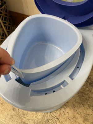 Bluey Potty + Trainer Seat : Target