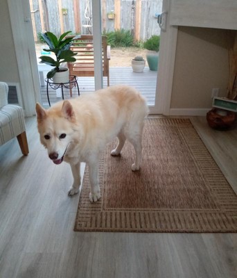 Nuloom Asha Simple Border Indoor/outdoor Area Rug : Target