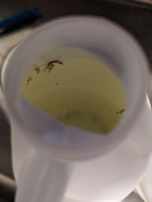 Epa Regular Bleach With Fabric Protection - Up&up™ : Target