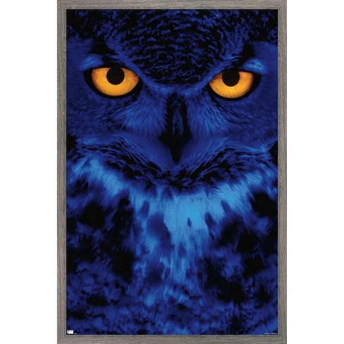 Trends International Owl - Eyes Framed Wall Poster Prints Barnwood ...