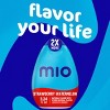 Mio Strawberry Watermelon Liquid Water Enhancer - 3.24 Fl Oz Bottle ...