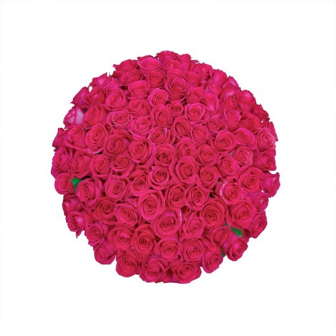 Fresh Cut Roses - 100 Stems : Target