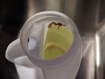 Epa Regular Bleach With Fabric Protection - Up&up™ : Target