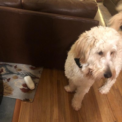 Bark Super Chewer Cow Dog Toy - Mad Cow : Target