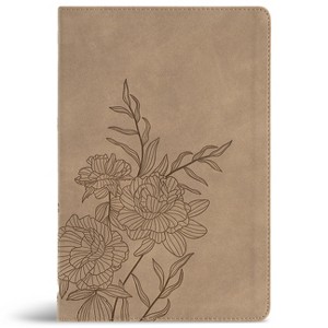 CSB Large Print Thinline Bible, Digital Study Edition, Earth Suedesoft ...