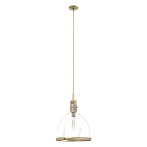 Hunter Fans Van Nuys 1 - Light Pendant in Alturas Gold : Target