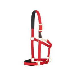 Weaver Leather Breakaway Halter - Padded Crown Safety Release Red : Target