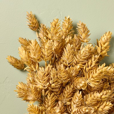 16" Faux Golden Hops Fall Stems Bundle - Hearth & Hand™ with Magnolia ...