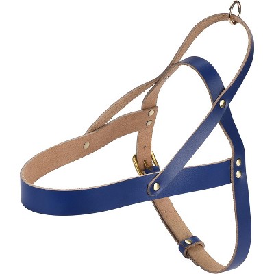 Black Rhino Leather Padded Dog Harness, Blue : Target