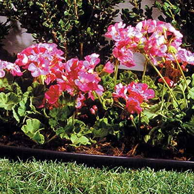 Landscape Edging : Target