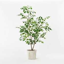 93" Artificial Olive Tree - Threshold™ Designed With Studio Mcgee : Target