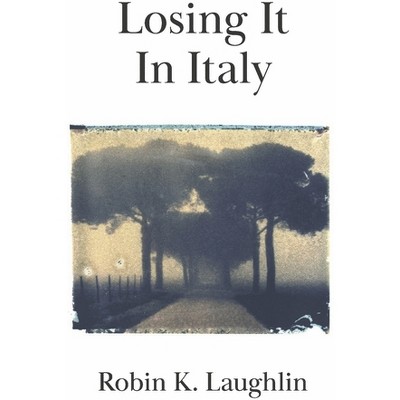 Exhaustion - By Anna K Schaffner (hardcover) : Target