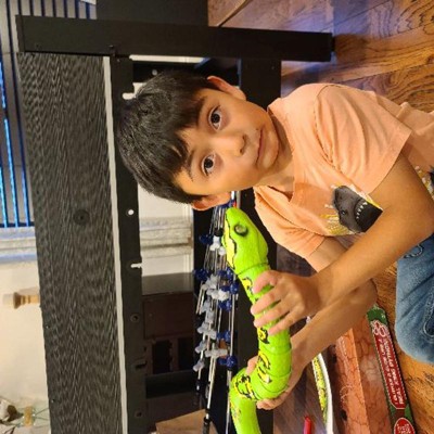 Robo Alive 31" King Python Snake Robotic Toy By Zuru : Target