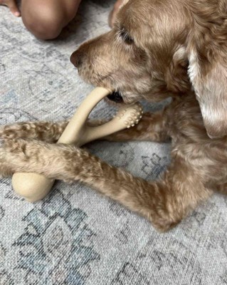Betterbone Hard Classic Nylon Free Dog Bone Chew Toy - S : Target