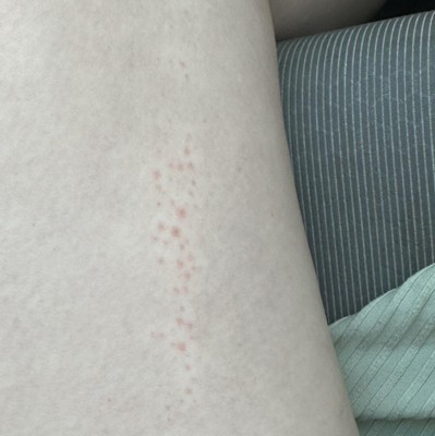 Flamingo 5-blade Women's Razor - 1 Razor Handle + 2 Razor Blade Refills ...