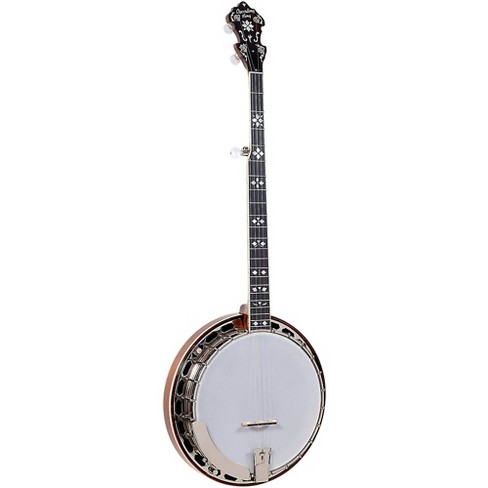 Recording King The Elite Hearts & Flowers Mahogany Resonator Banjo ...