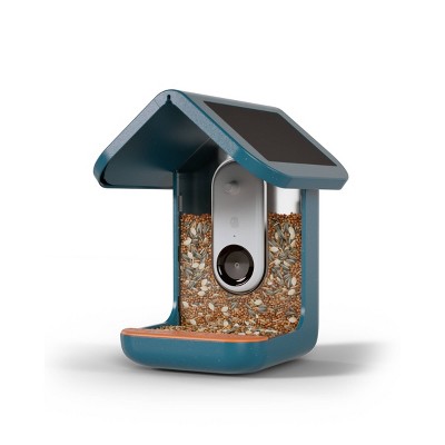 Bird Buddy 9" Solar Novelty Bird Feeder Blue: Weather-Resistant, Pole ...