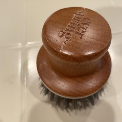 Palm Brush - Everspring™ : Target