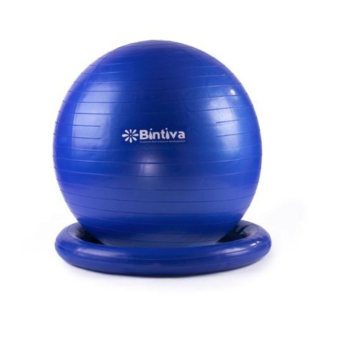 Bintiva Ball Including Stability Ring : Target