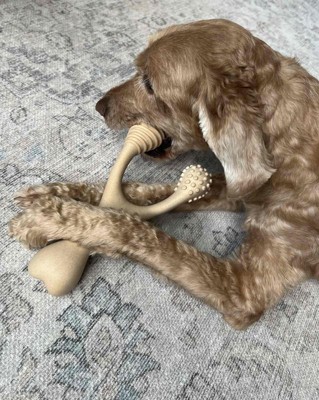 Betterbone Hard Classic Nylon Free Dog Bone Chew Toy - S : Target