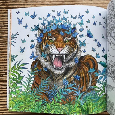 Fragile World - By Kerby Rosanes (paperback) : Target