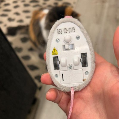 Electronic Chasing Mouse Cat Toy - Boots & Barkley™ - Gray : Target