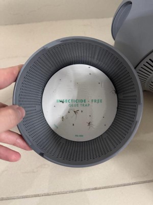 STEM Electric Fan Fruit Fly, Gnat and Fly Trap Indoor Starter Kit - 1 ...