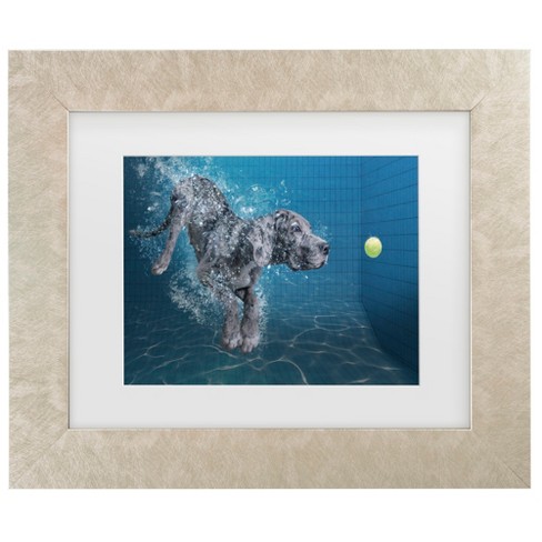 Trademark Fine Art - Marcel Egger Splashdog Matted Framed Art : Target