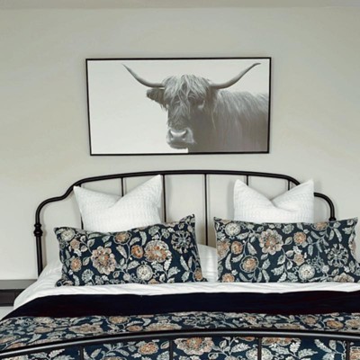 47" X 24" Highland Cow Framed Canvas - Threshold™ : Target