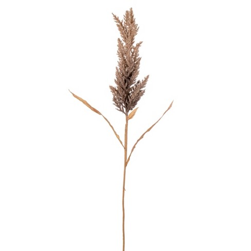 Vickerman 36" Brown Artificial Dried Cluster Reed Spray, 3 Per Bag ...