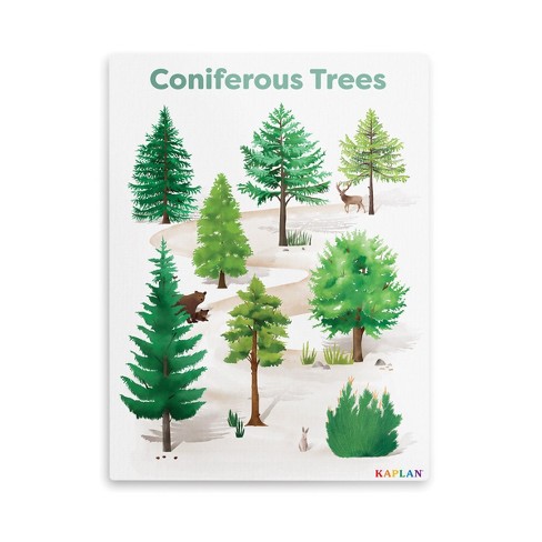 Kaplan Early Learning Coniferous Tree Giclee Classroom Wall Print : Target