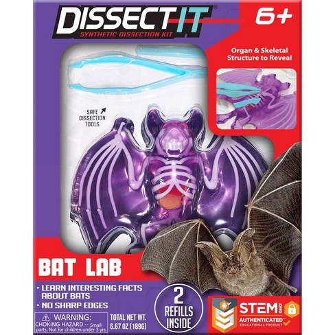 Dissect It Bat Lab : Target